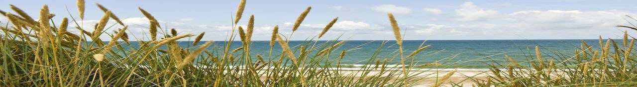 Feriefonden for Ansatte ved Faxe Kommune Login